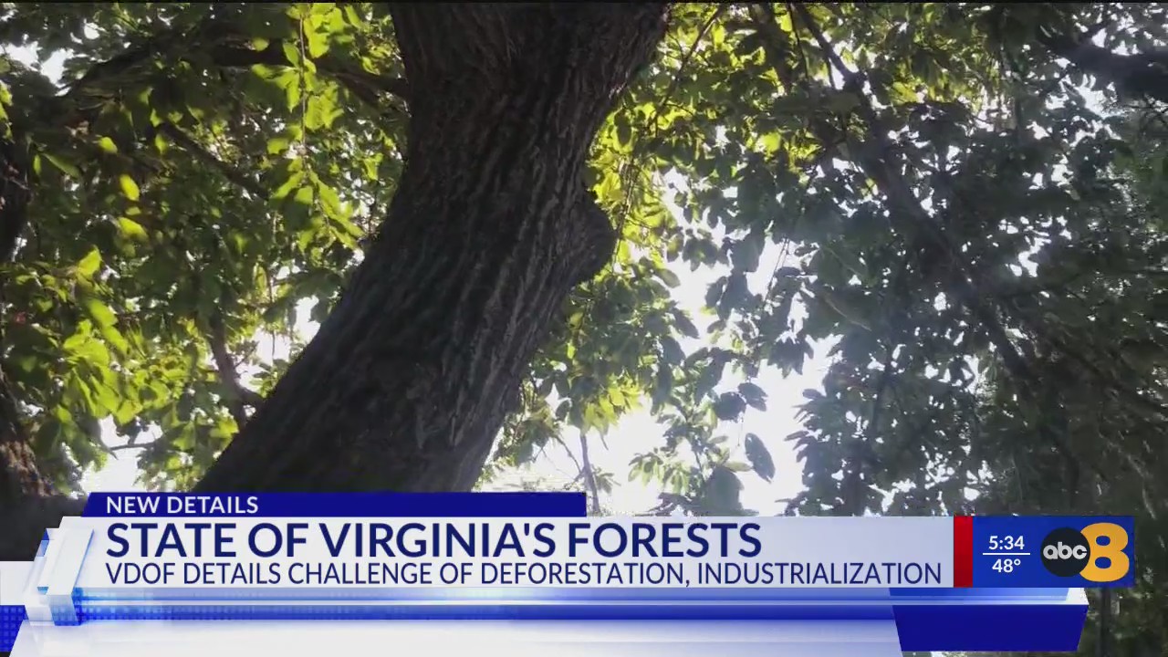 Invasive species to deforestation: Virginia evaluates the state of the ...