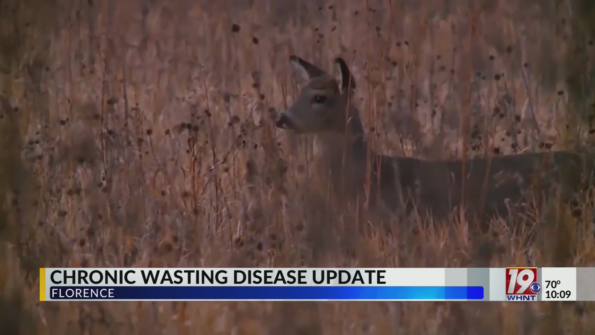 State Holds Public Meeting About Chronic Wasting Disease – WHNT.com