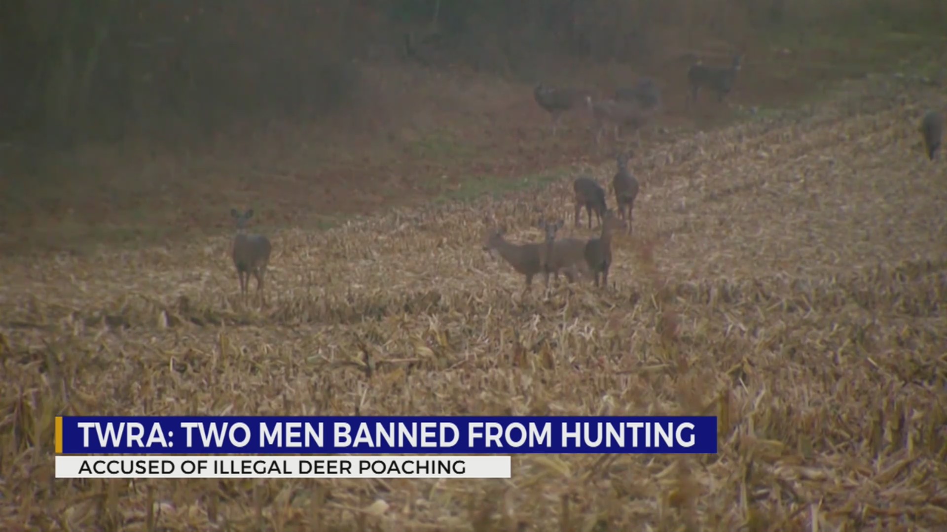 TN father, son banned from hunting after illegal deer poaching – WKRN ...