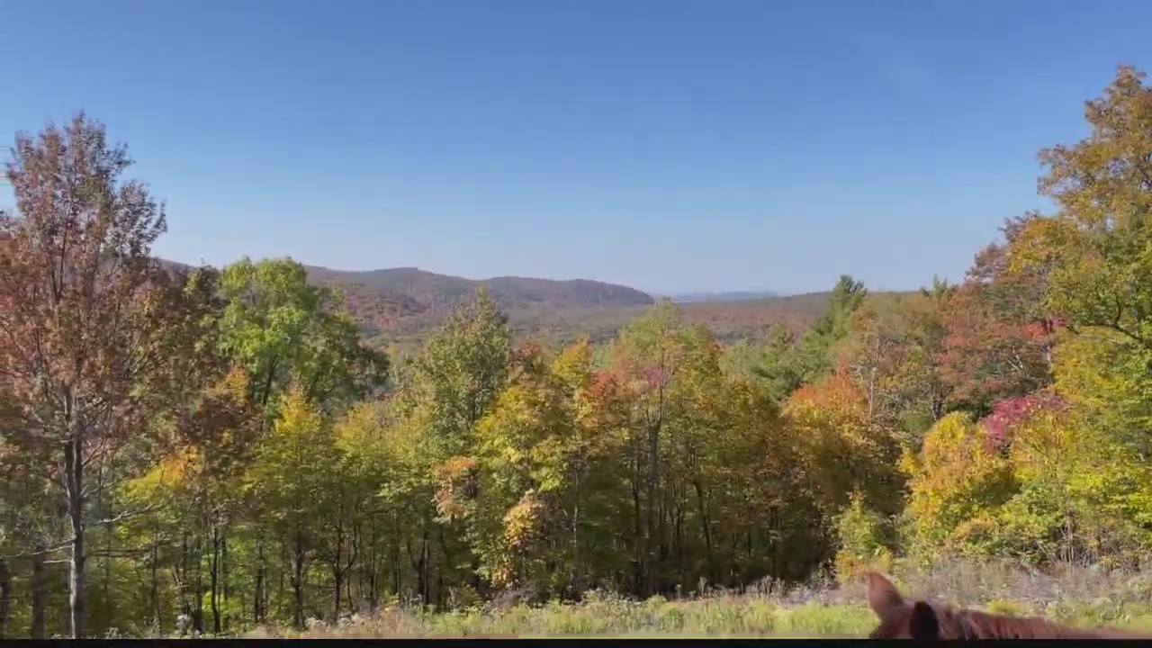 Leaf Peeping: Fall Foliage Horseback Riding – NEWS10 ABC