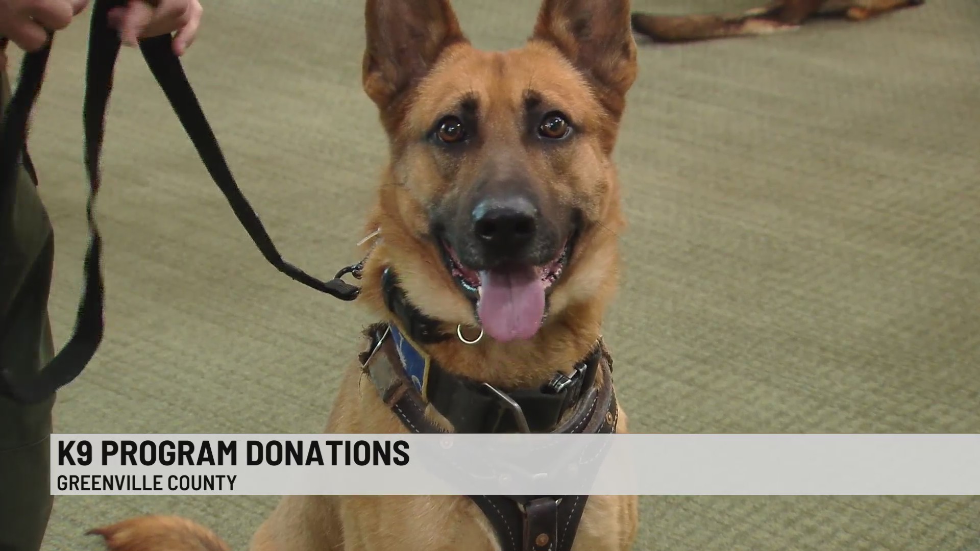 K-9 programs receive donations from Upstate organizations – WSPA 7NEWS