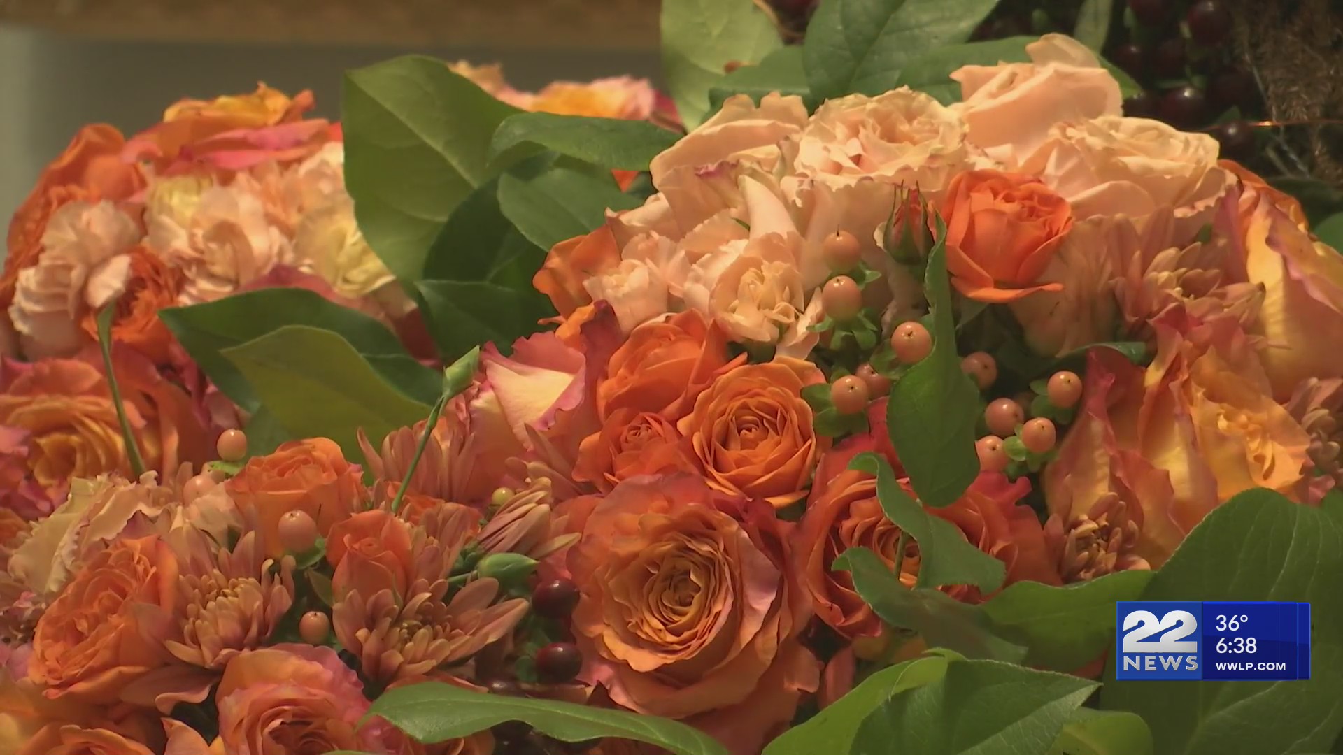 Festival of Flowers back at Springfield Museums – WWLP