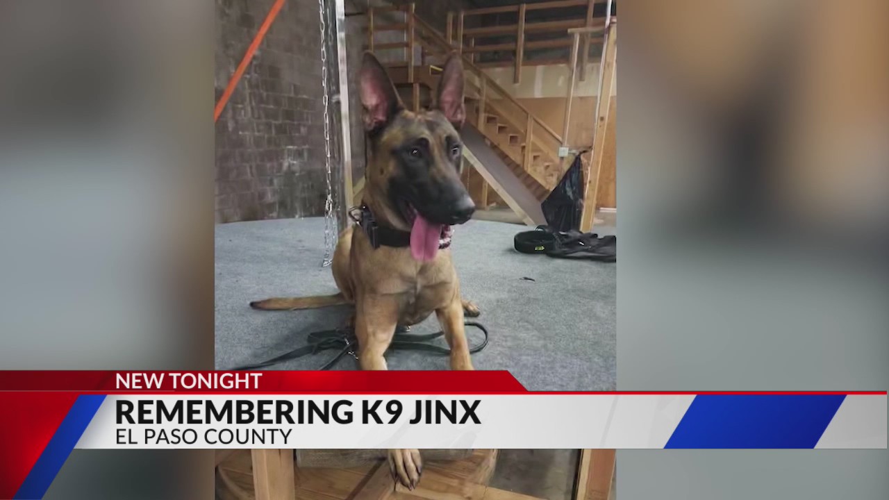 Remembering K9 Jinx – FOX21 News Colorado