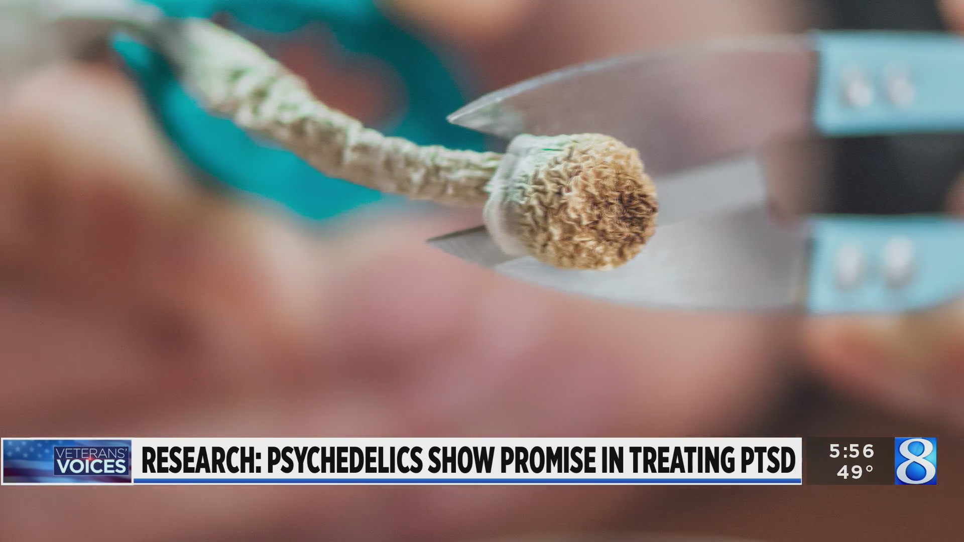 Seeking ‘better solutions,’ some veterans eye psychedelics to treat ...