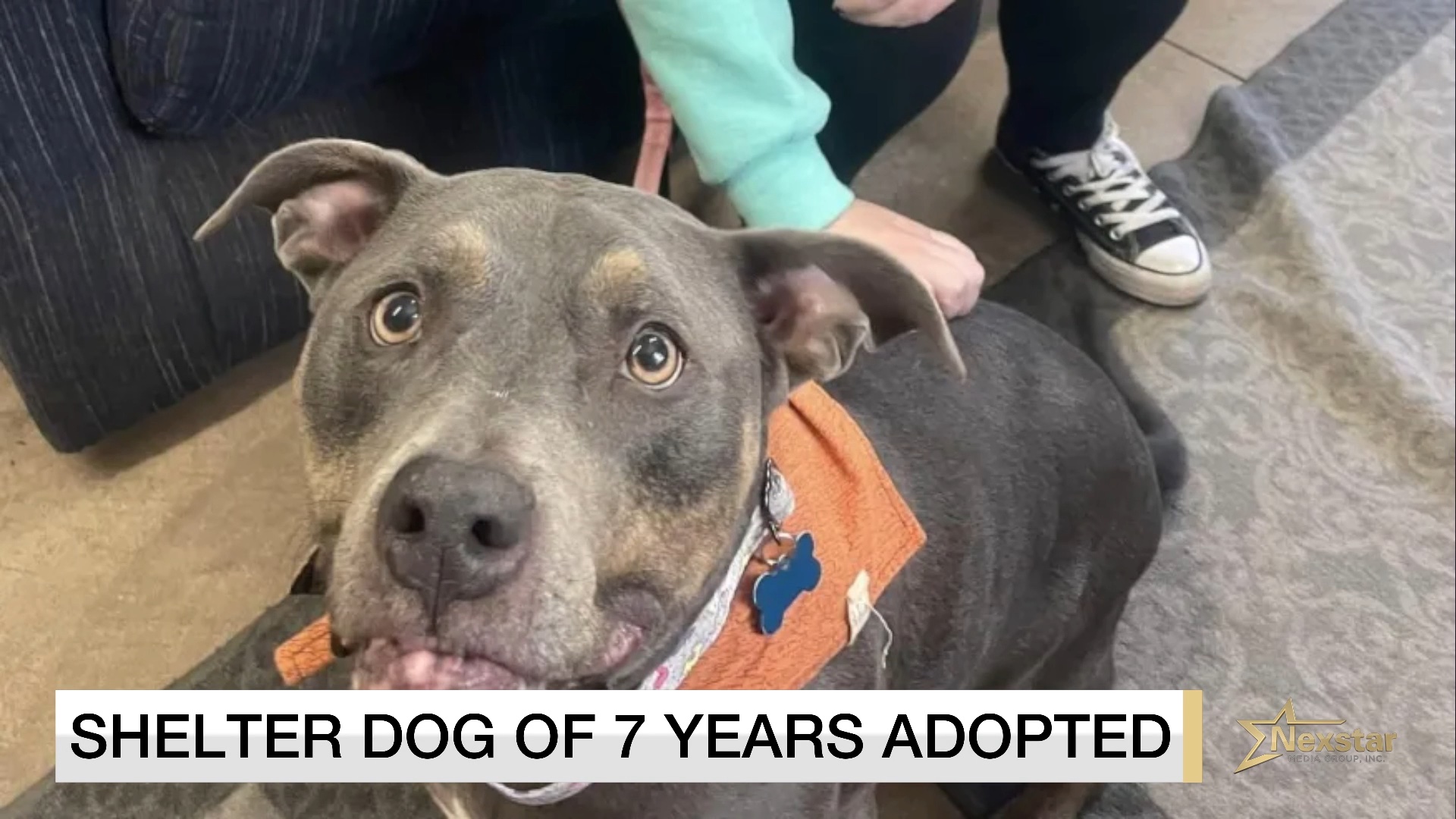 Shelter Dog of 7 Years Adopted – KSNF/KODE | FourStatesHomepage.com