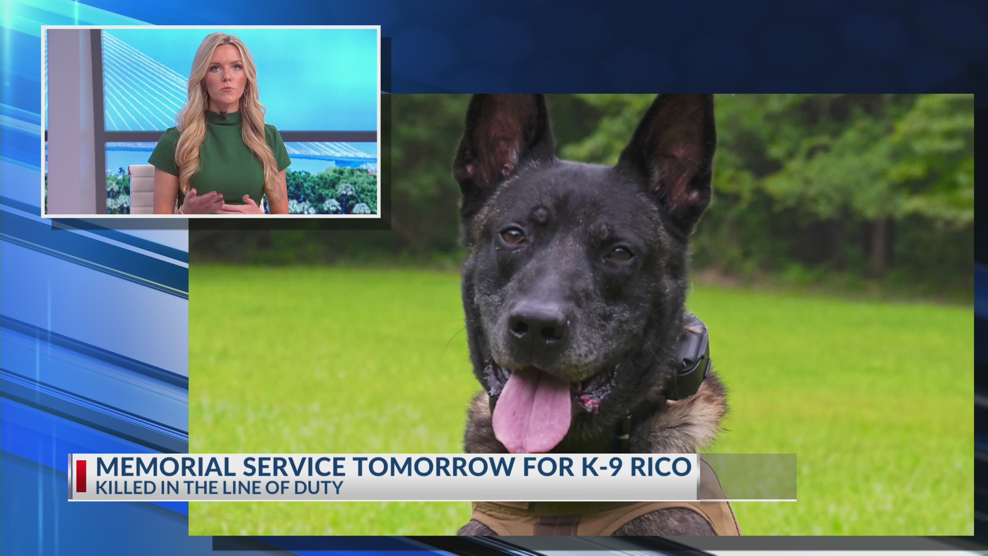 Memorial service to be held for K-9 Rico – WCBD News 2