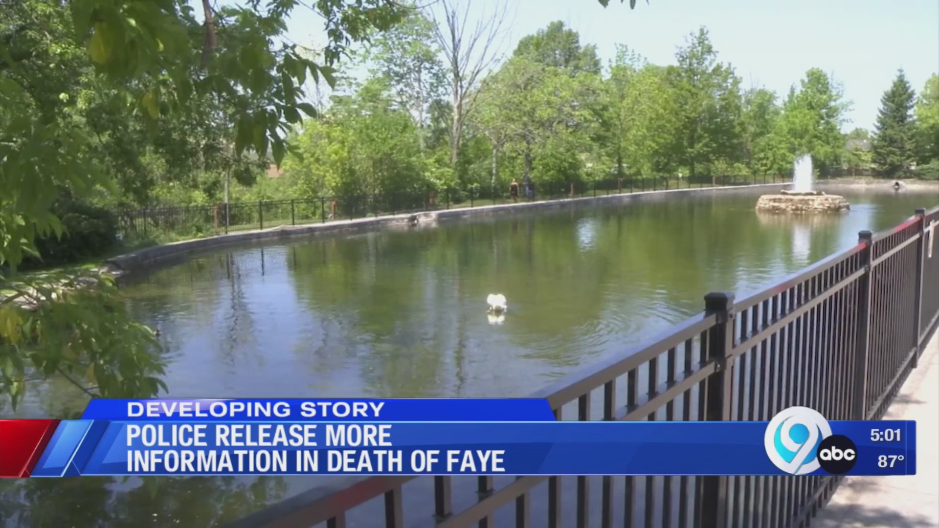 Police release more info in death of female swan, Faye – WSYR