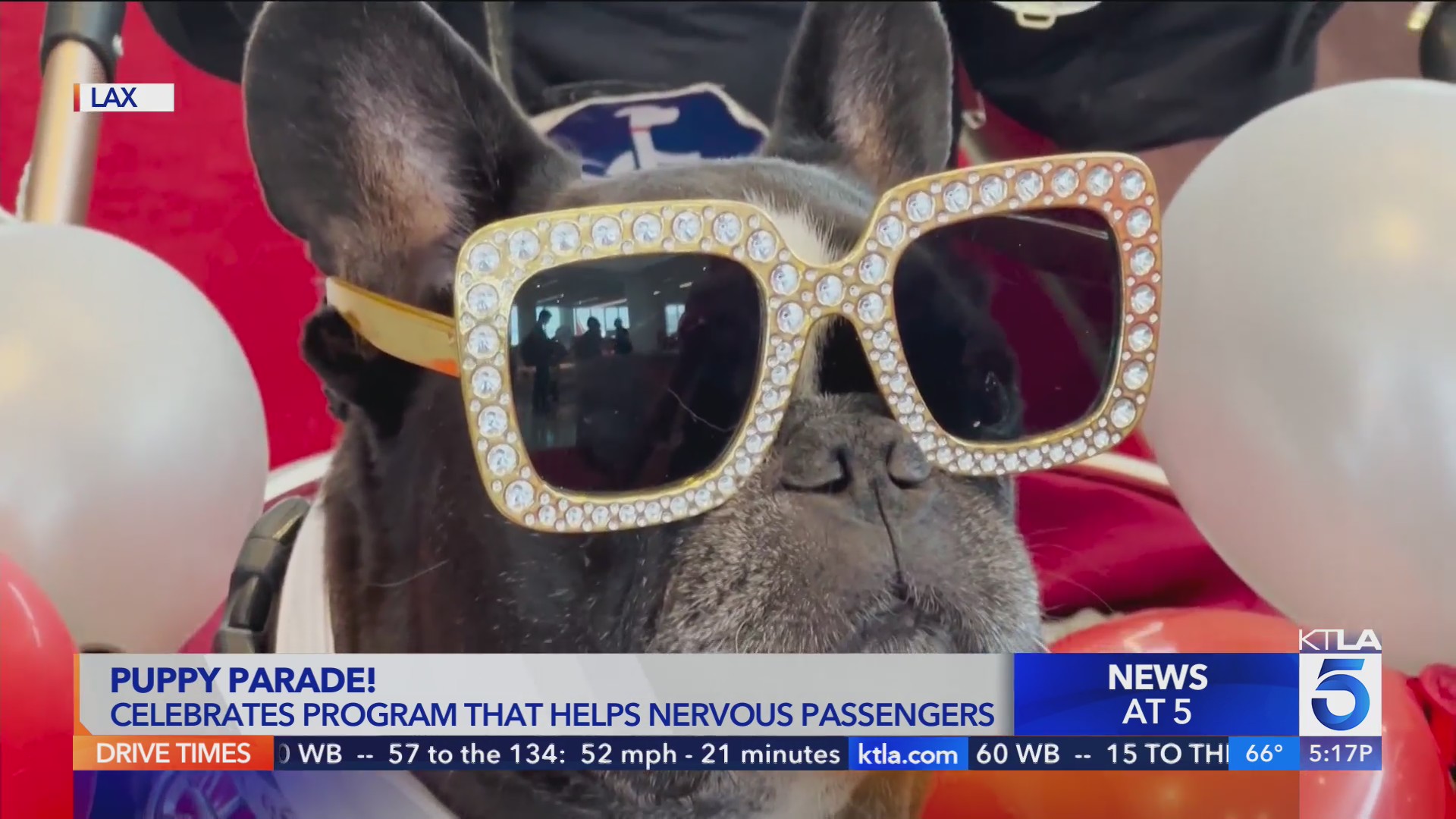 LAX celebrates 10th anniversary of Pets Unstressing Passengers program ...