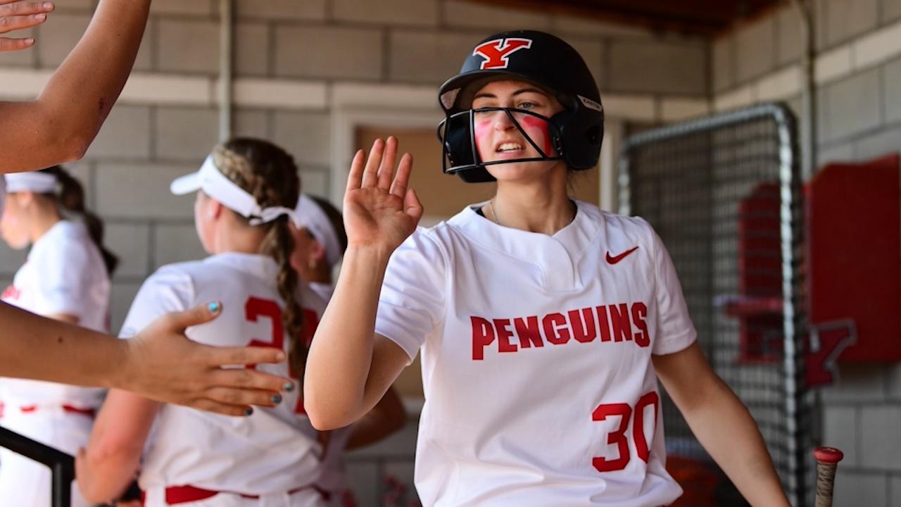 Penguins softball standout named YSU Scholar Athlete – WKBN.com