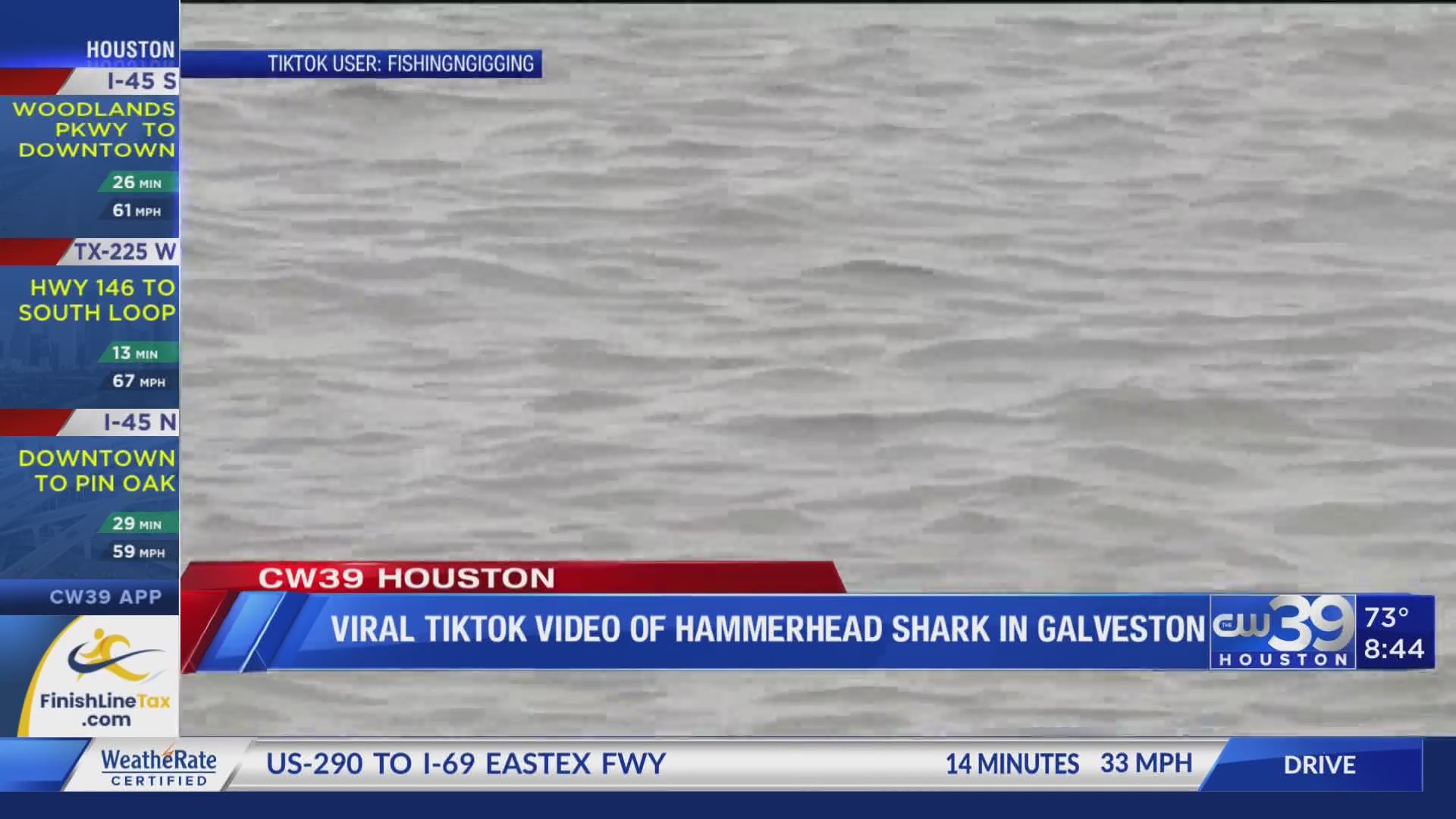 CW39 Houston | Viral video of Hammerhead shark caught on camera in ...