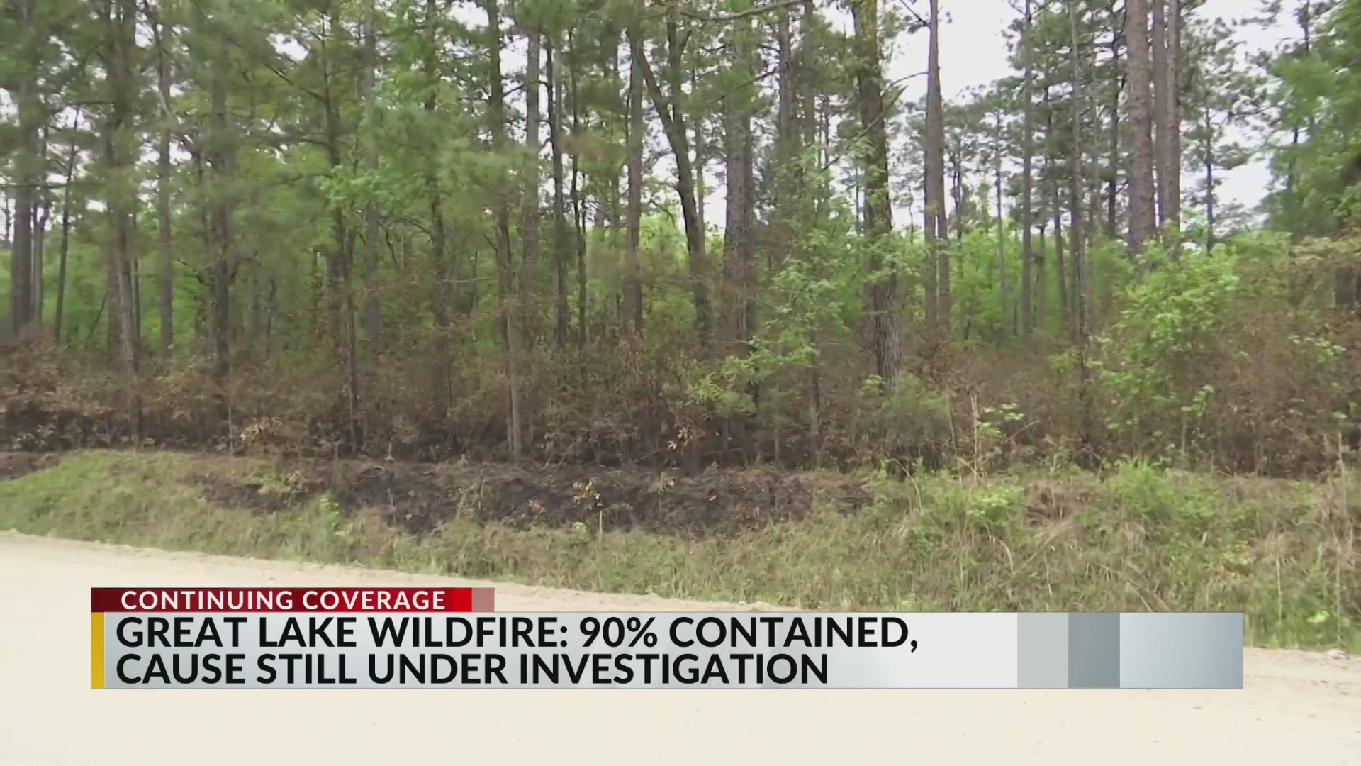 Croatan National Forest fire improves to 90% contained – WNCT