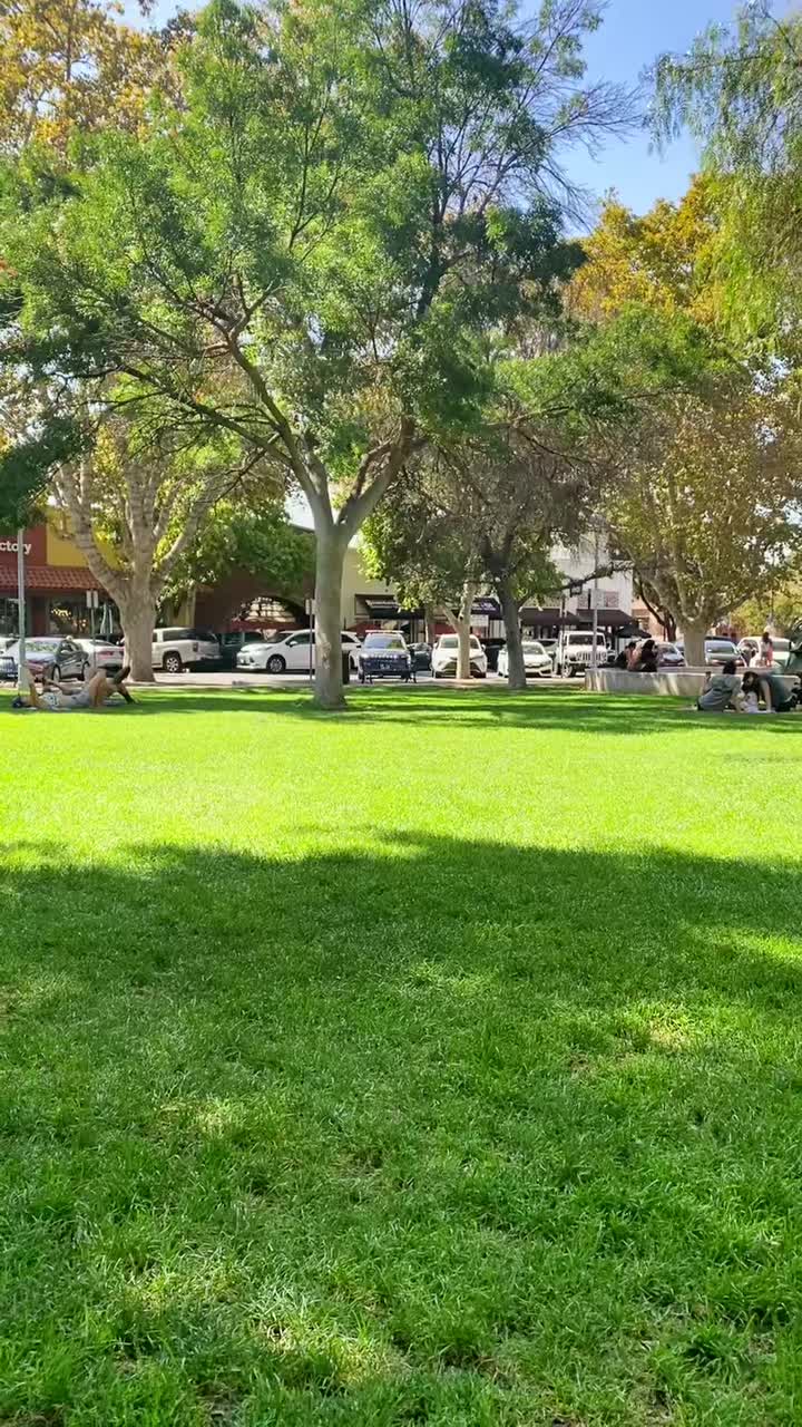 Viral TikTok Concord Dog – KRON4