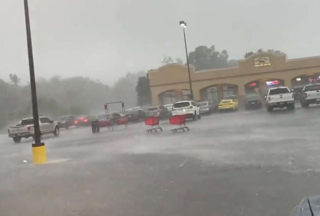 Shopping Cart Blown Across Parking Lot as Storms Lash Florida – WNCT