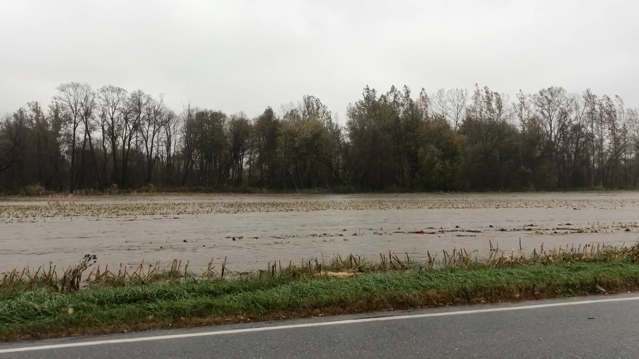 USDA declares Vermont a natural disaster area from July flooding – WWLP