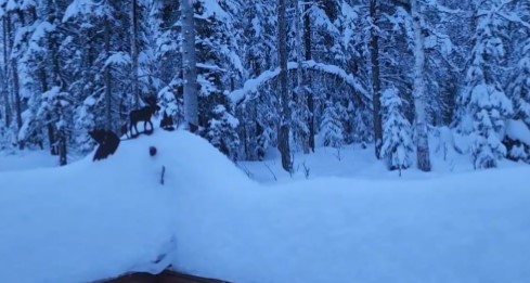 Snow Builds Up in Anchorage as City Hits Snowfall Milestone – WNCT