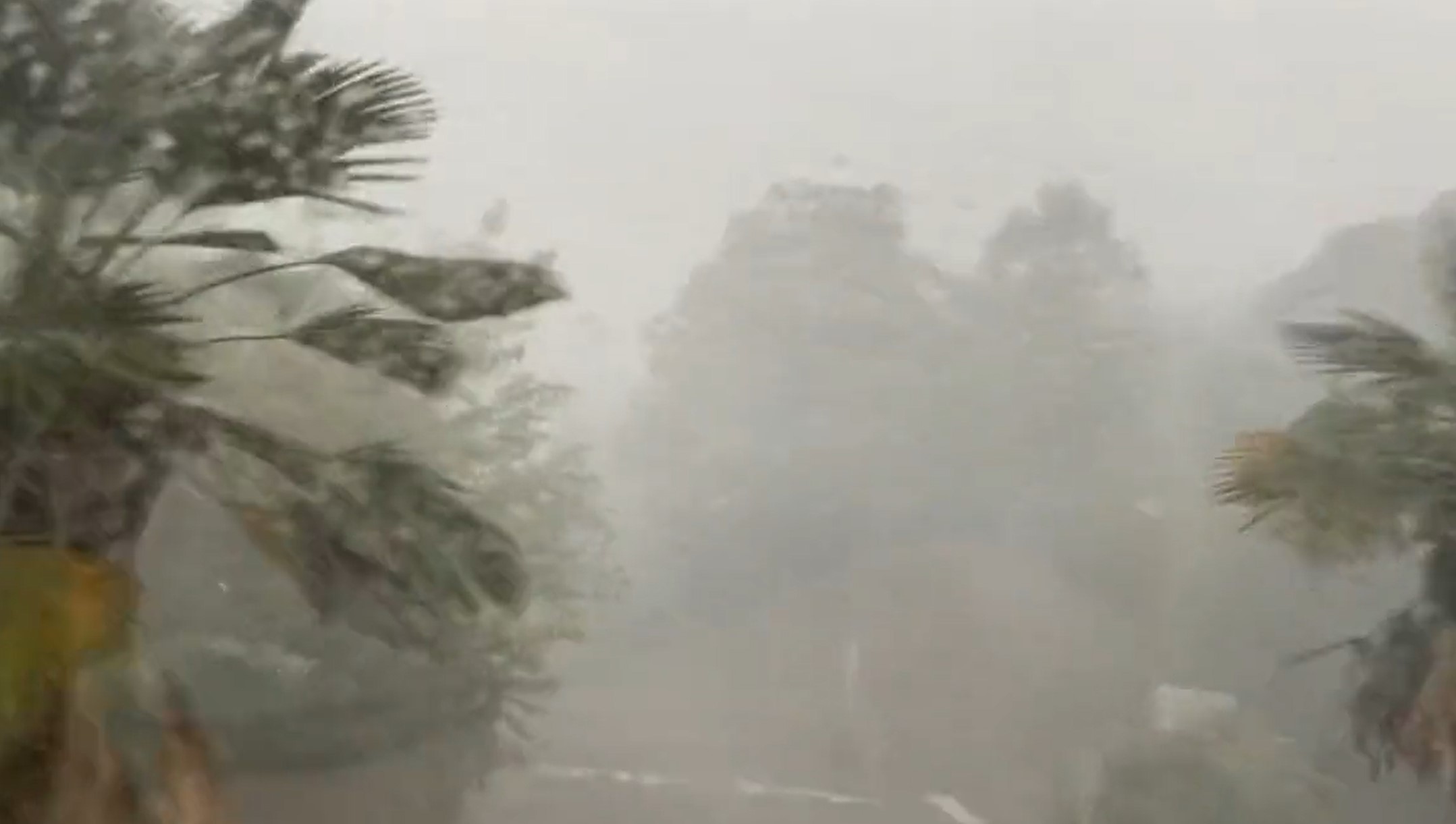 Wind and Rain Lash Tokyo Area as South Japan Braces for Typhoon – WNCT