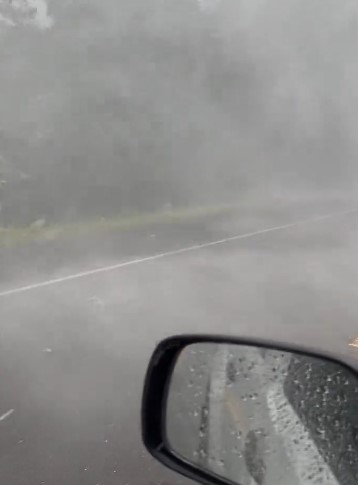 ‘Insane’: Intense Wind and Rain Lash Louisiana as Severe Weather ...