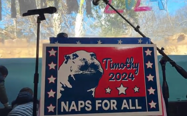 ‘Naps for All’: San Antonio Zoo Launches ‘Timothy for President ...