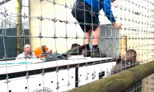 Bear Rescued From Destroyed Ukraine Zoo Arrives at New Home – WNCT