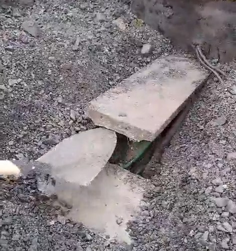 Irish Rail Workers Discover Fox Caused Signaling Fault Near Galway – WNCT