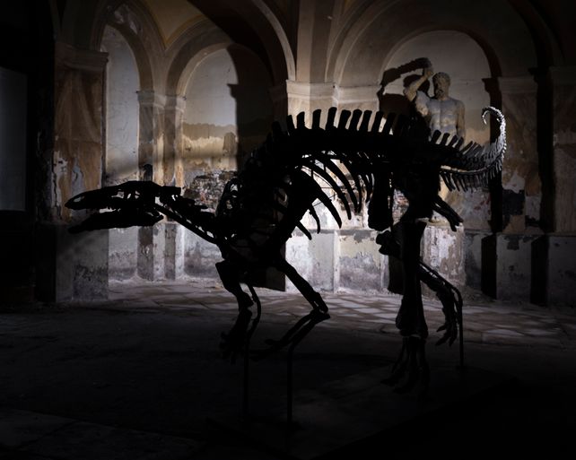 Dinosaur Skeleton Known as ‘Barry’ Goes on Sale in Paris Auction – WNCT