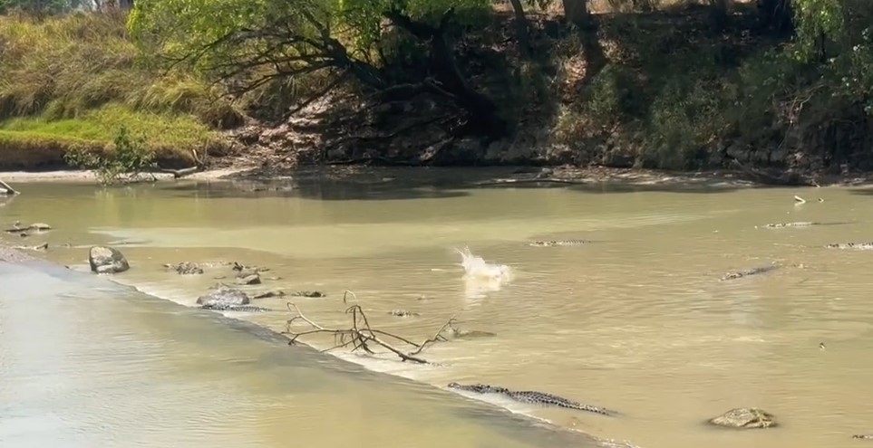 Fisherman Has Plenty of Crocs for Company at ‘Infamous’ River Crossing ...