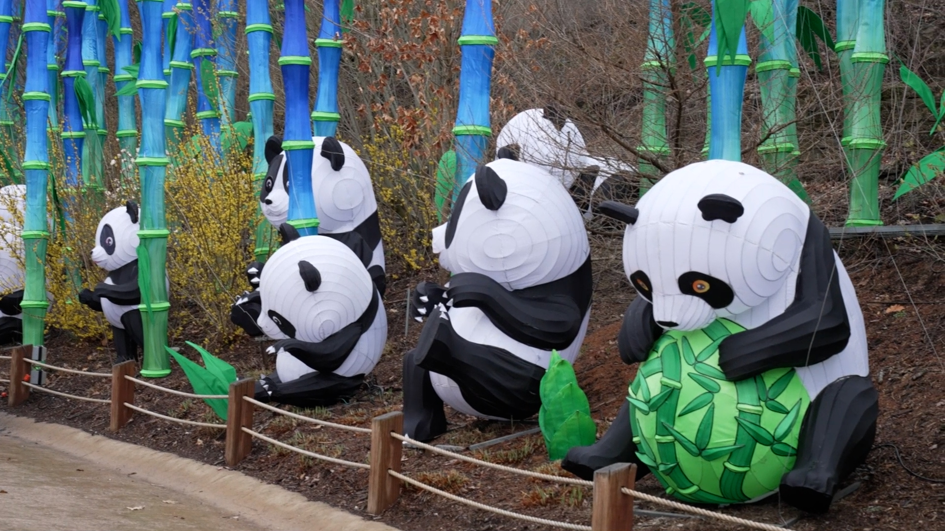 Maranda’s Weekend Fun Guide: April 5-7 – WOODTV.com